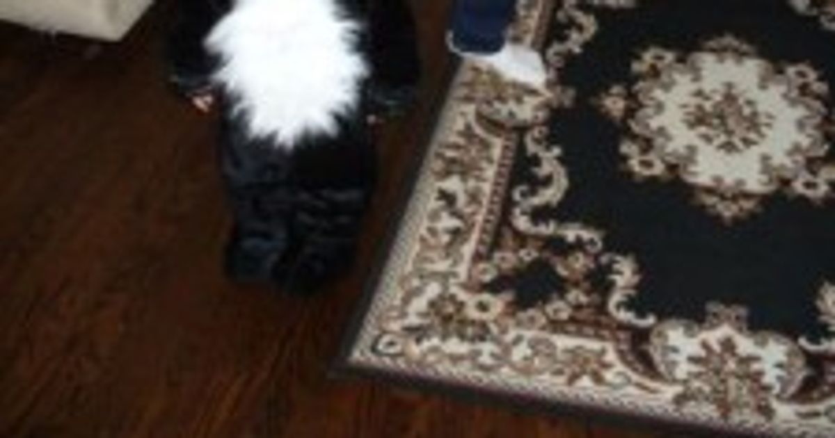 A Husband's Plea for Help - Chatelaine