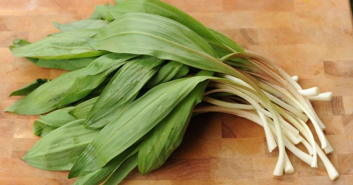 Ramp up your heart health with wild leeks - Chatelaine