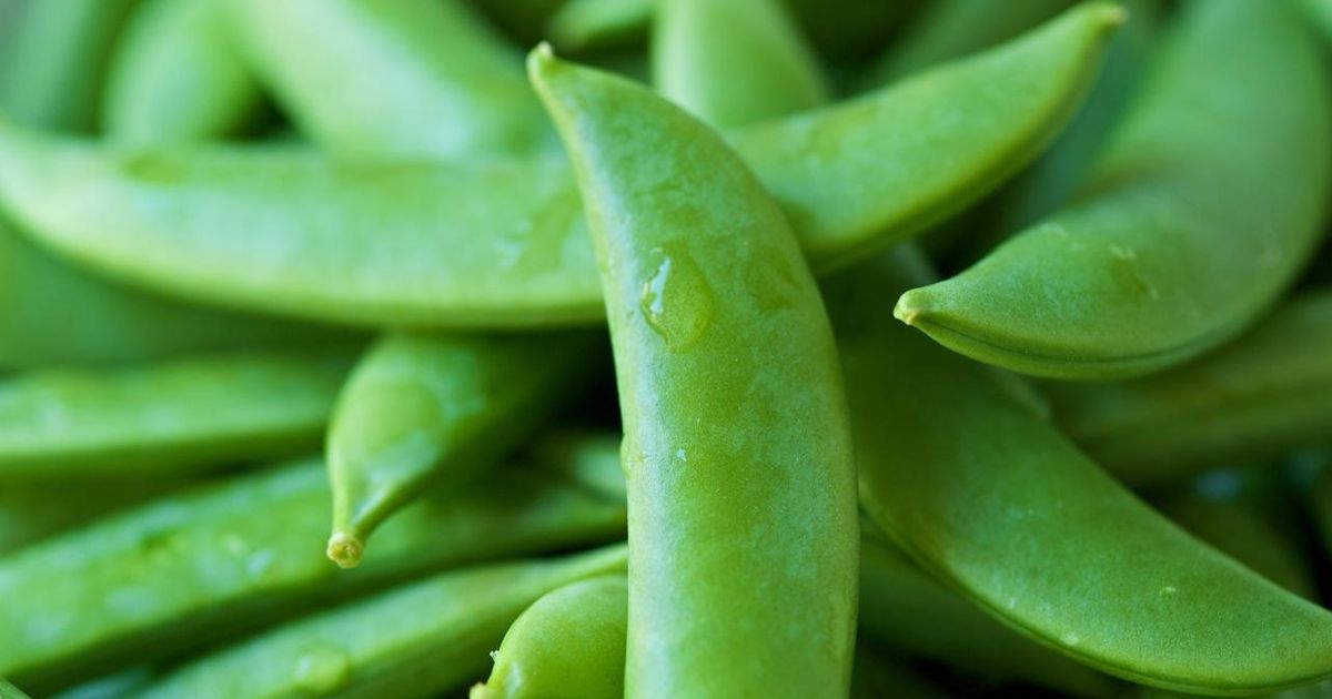Five reasons why snap peas are a perfect healthy snack - Chatelaine