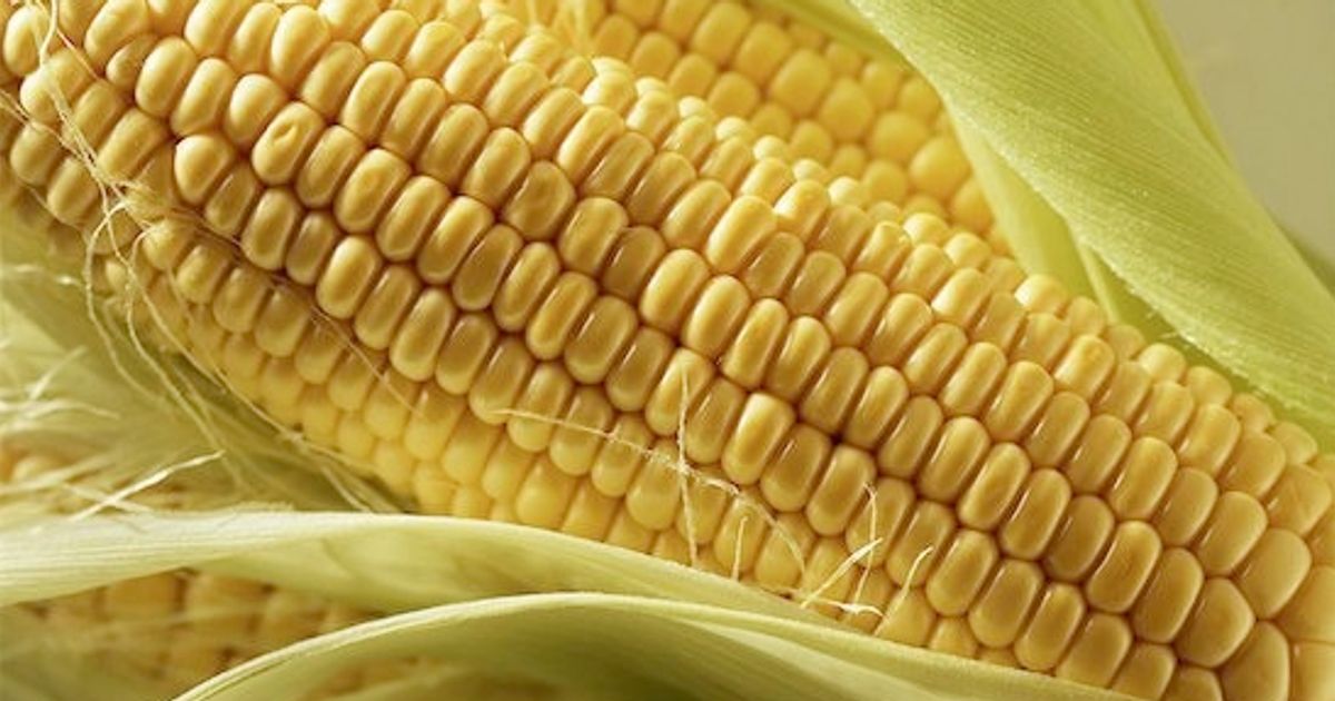 An easy (and mess-free) way to remove corn from a cob - Chatelaine