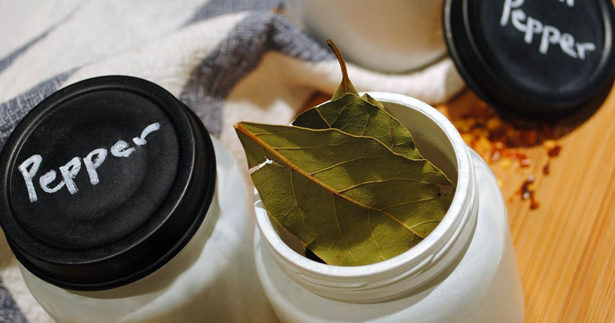 DIY spice jars craft: How to make cool, modern spice jars - Chatelaine