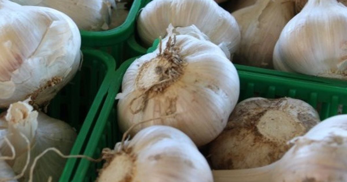 The single best recipe to use fresh, local garlic - Chatelaine