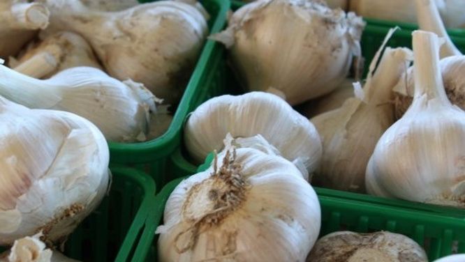 The single best recipe to use fresh, local garlic - Chatelaine