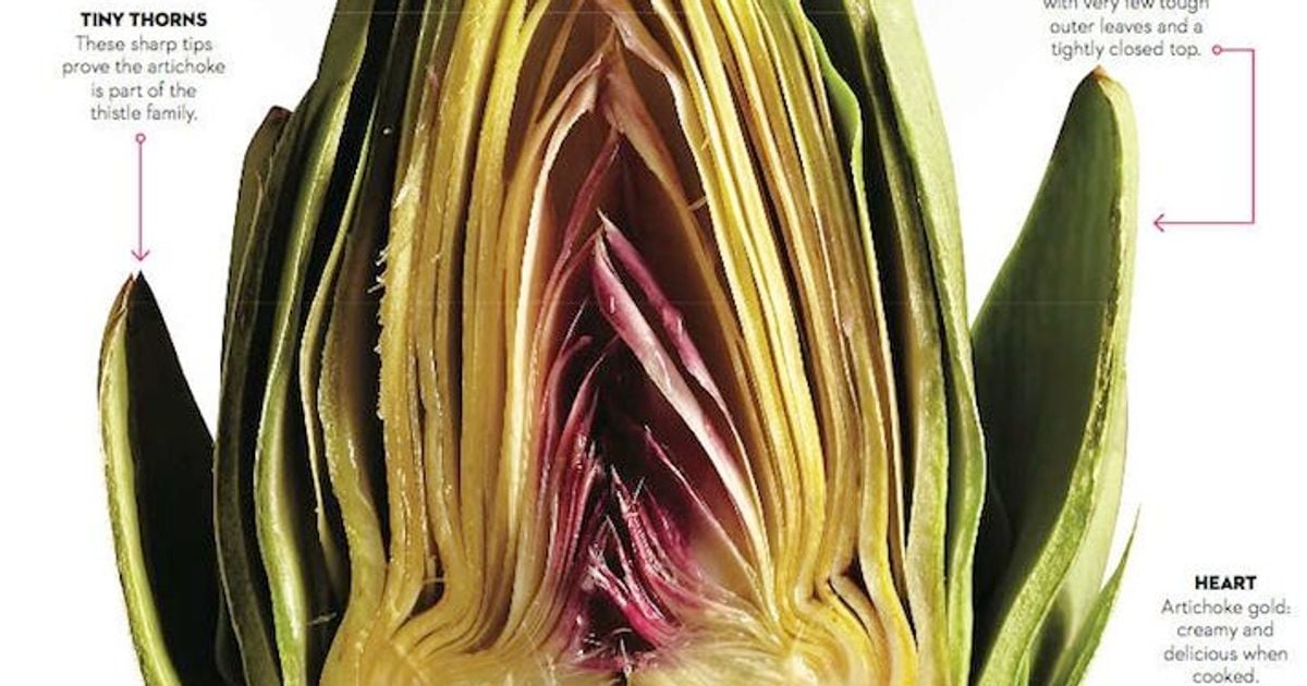 How to eat an artichoke - Chatelaine