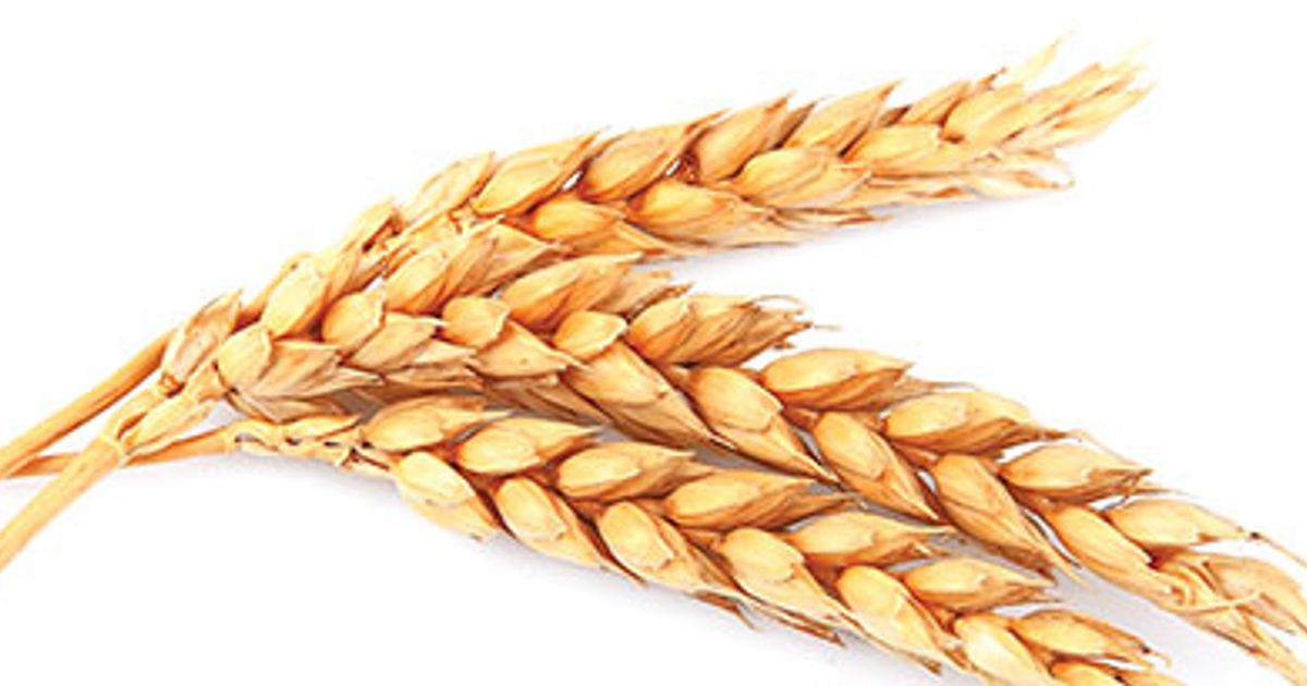 Should you go gluten-free? - Chatelaine