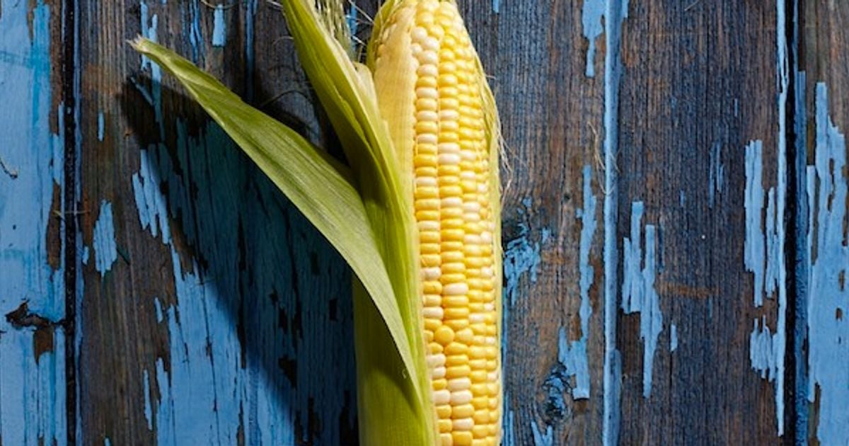 Corn fritters recipe - Chatelaine