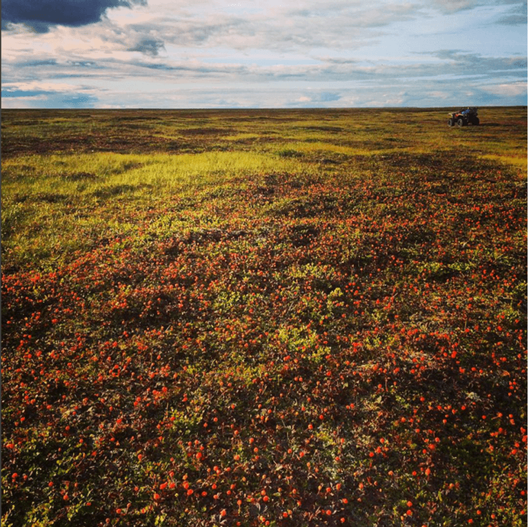 10 stunning Canadian spots to spend your summer vacation - Chatelaine