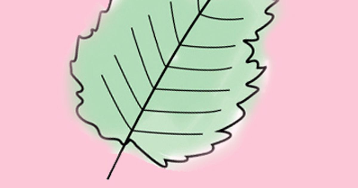 How to diagnose—and heal!—sad, sick plants - Chatelaine