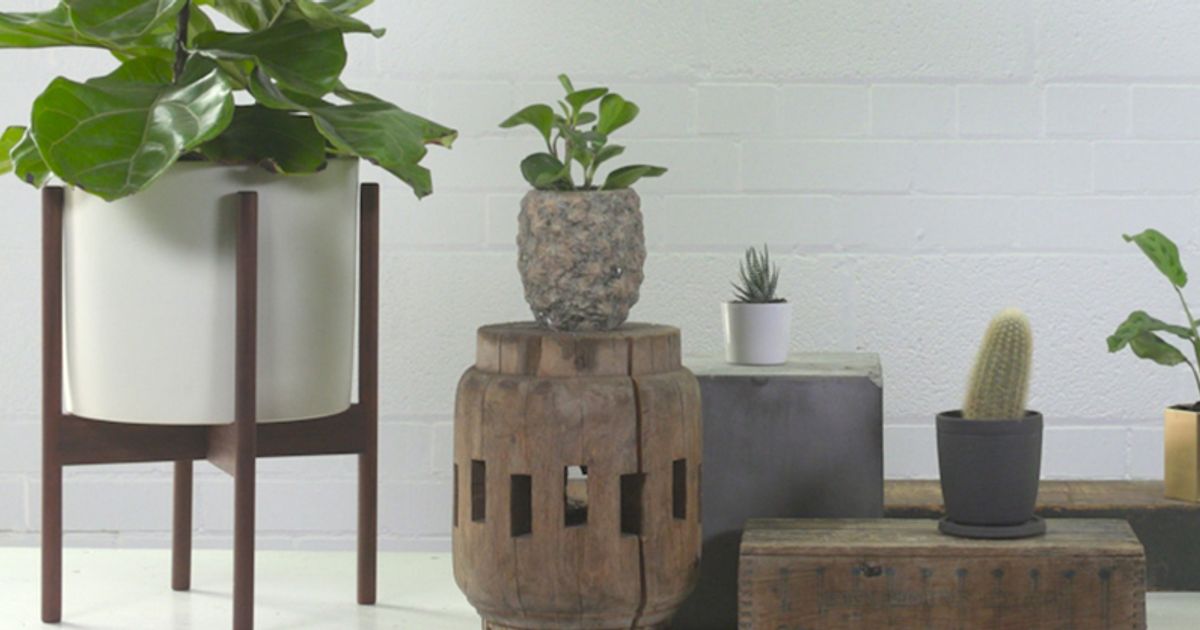 How to care for the 5 trendiest houseplants (and the best pots to use ...