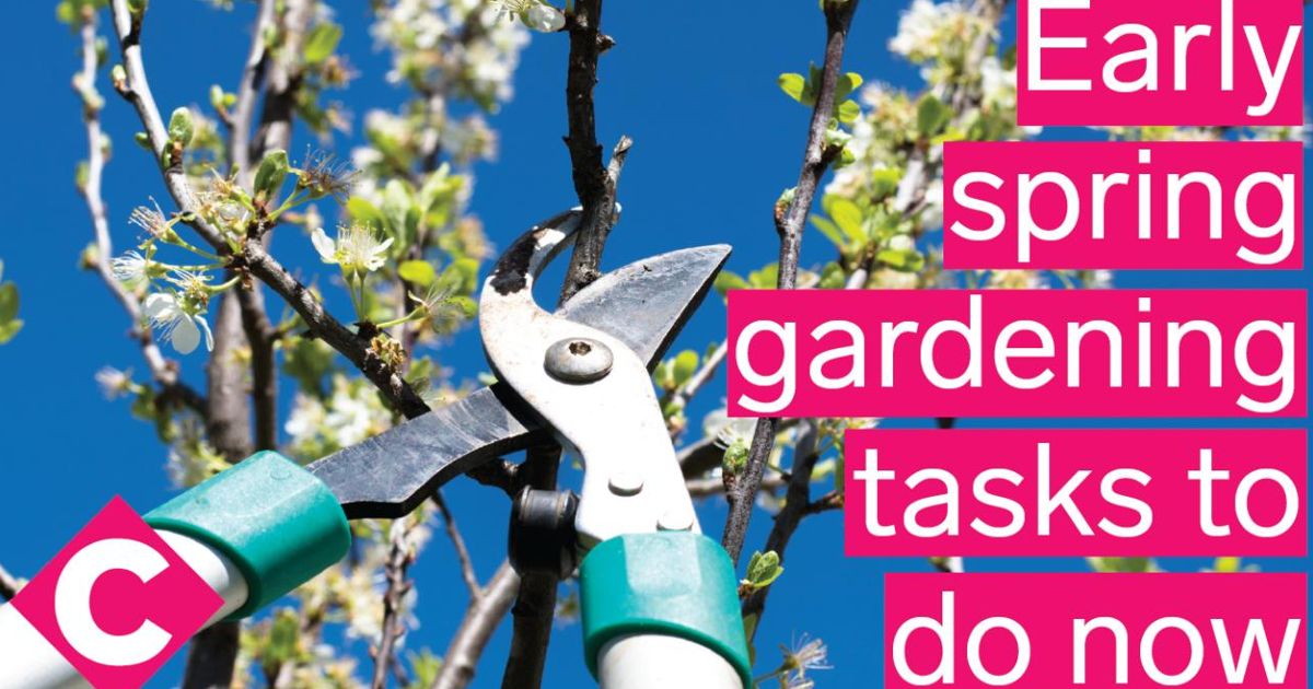 Early spring gardening tasks to do now - Chatelaine