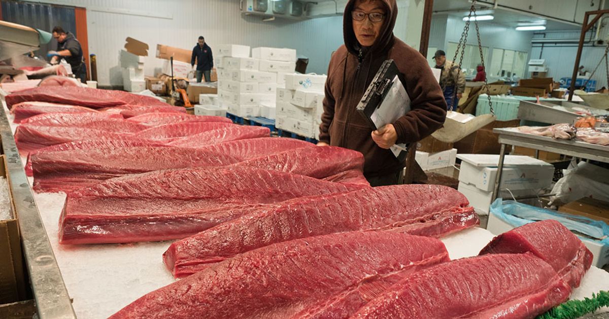 Why Canada’s seafood selection is so bad, and costs so much - Chatelaine