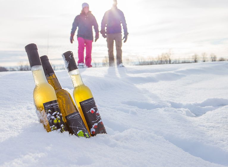 Enjoy the Cold with the Best Outdoor Winter Activities Across Canada ...