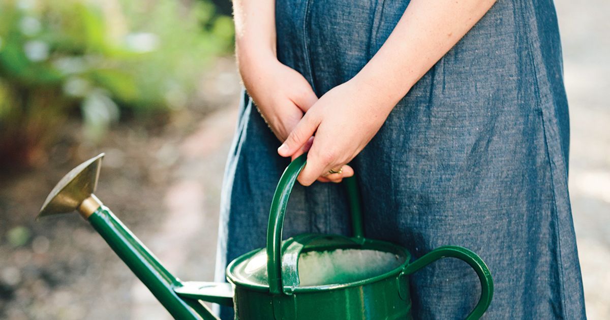 The 4 Gardening Basics That Every Beginner Should Know - Chatelaine