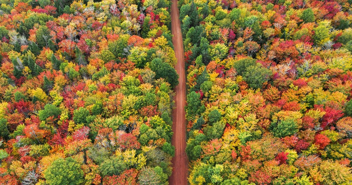 The Best Places To See Fall Colours In Canada - Chatelaine