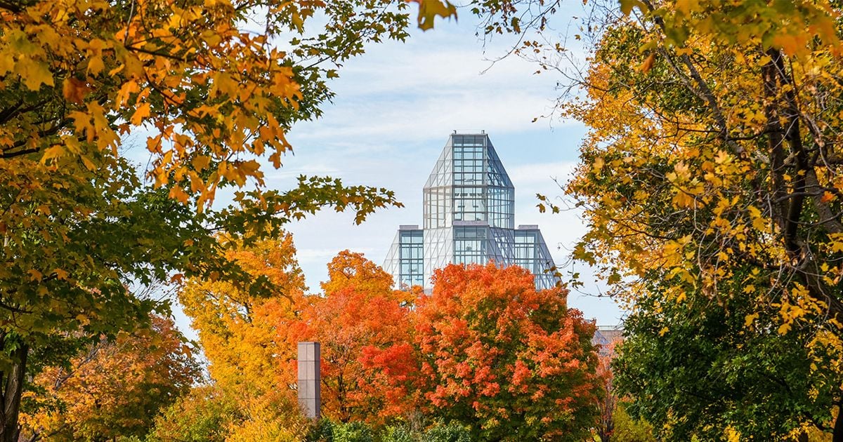 Things To Do In Ottawa This Fall: Dine, Shop and Explore - Chatelaine