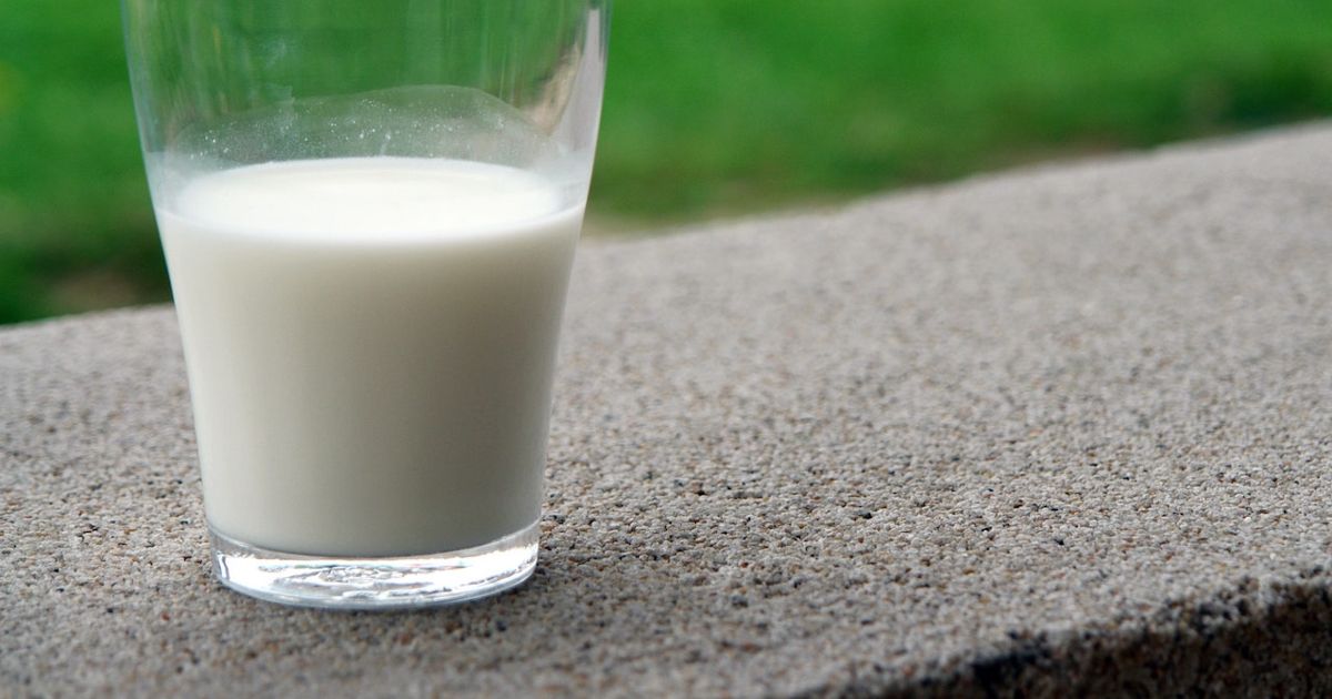 Is Full Fat Dairy Healthier Than Low Fat Dairy? - Chatelaine