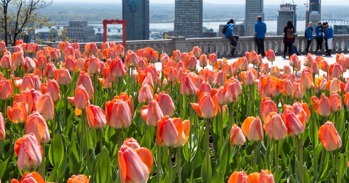 The Spring Forecast 2019 According To Environment Canada - Chatelaine