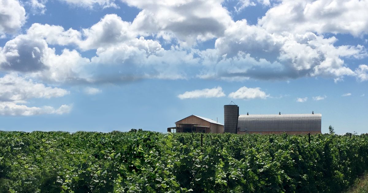 Picture-perfect Wineries To Visit Across Canada This Summer - Chatelaine