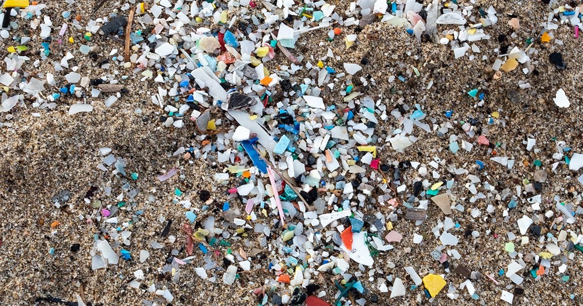 What Are Microplastics? Everything You Need To Know - Chatelaine