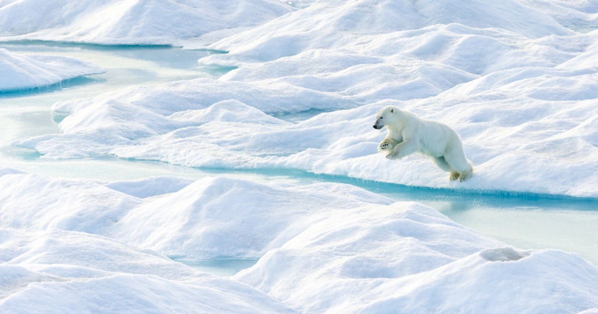 Canada's Arctic Sea Ice Is Melting. Will a New Plan Save It? - Chatelaine
