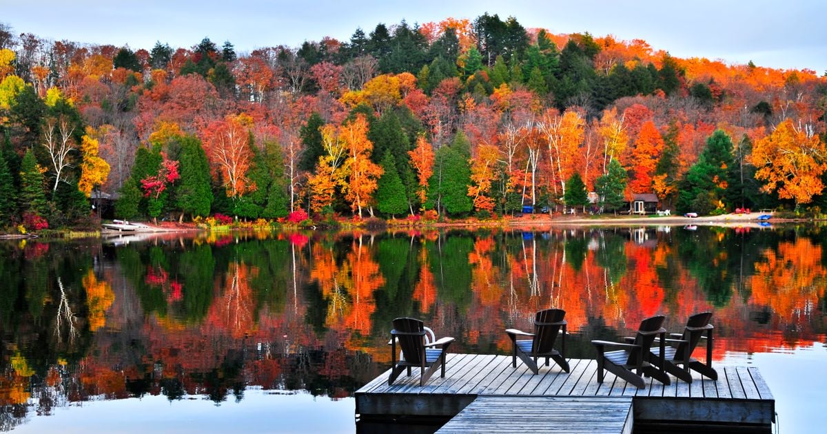 The Fall 2019 Weather Forecast According to Environment Canada - Chatelaine