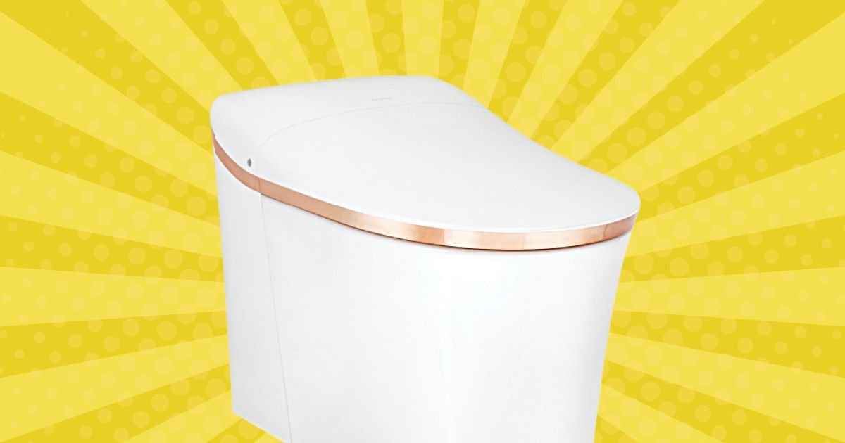 5 Great Bidets, Starting At $53 - Chatelaine