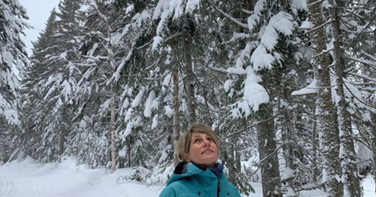 What Is Forest Bathing? The Outdoor Activity That's A Balm For Stress ...