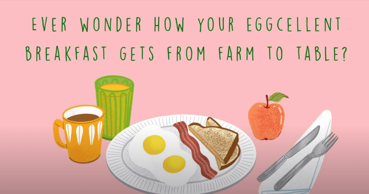 Here's How Your Eggs Get From Farm To Table - Chatelaine