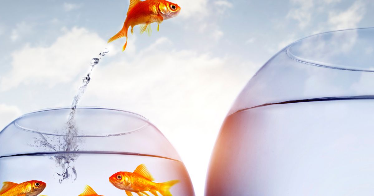 The Pros And Cons Of Giving Up The Chase For My Dream Job - Chatelaine