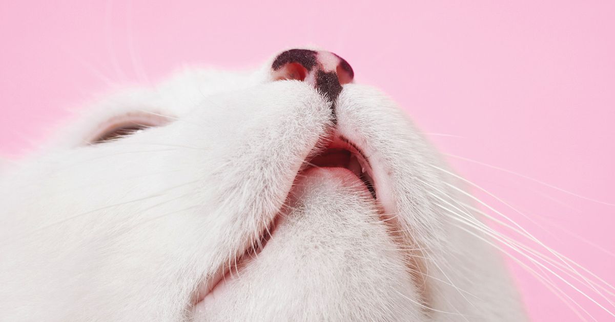 The Surprising Health Benefits Of Learning To Breathe Better - Chatelaine