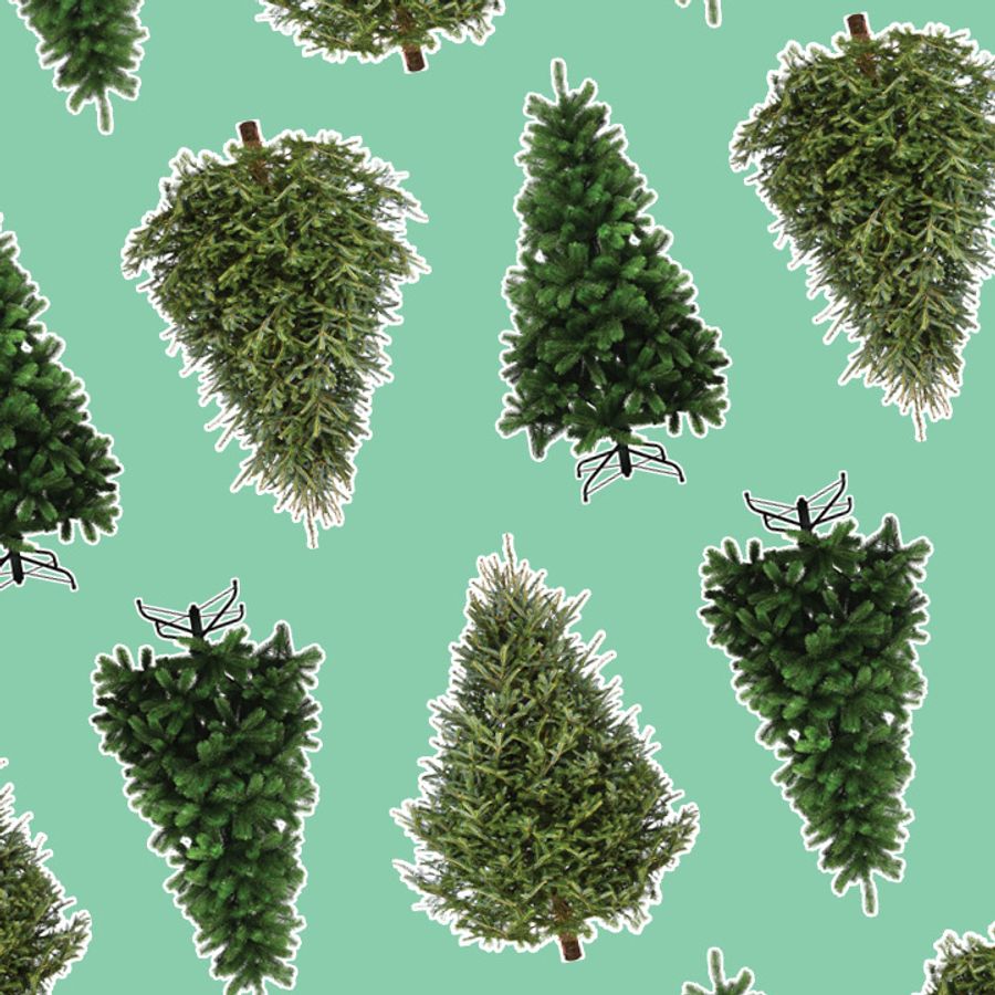 Real Christmas Tree Vs Artificial