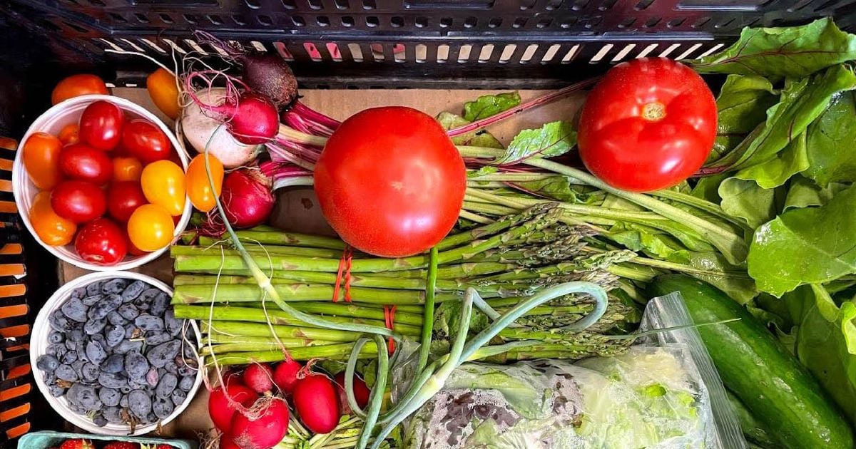 Should You Subscribe To A CSA / Farm Market Box? - Chatelaine