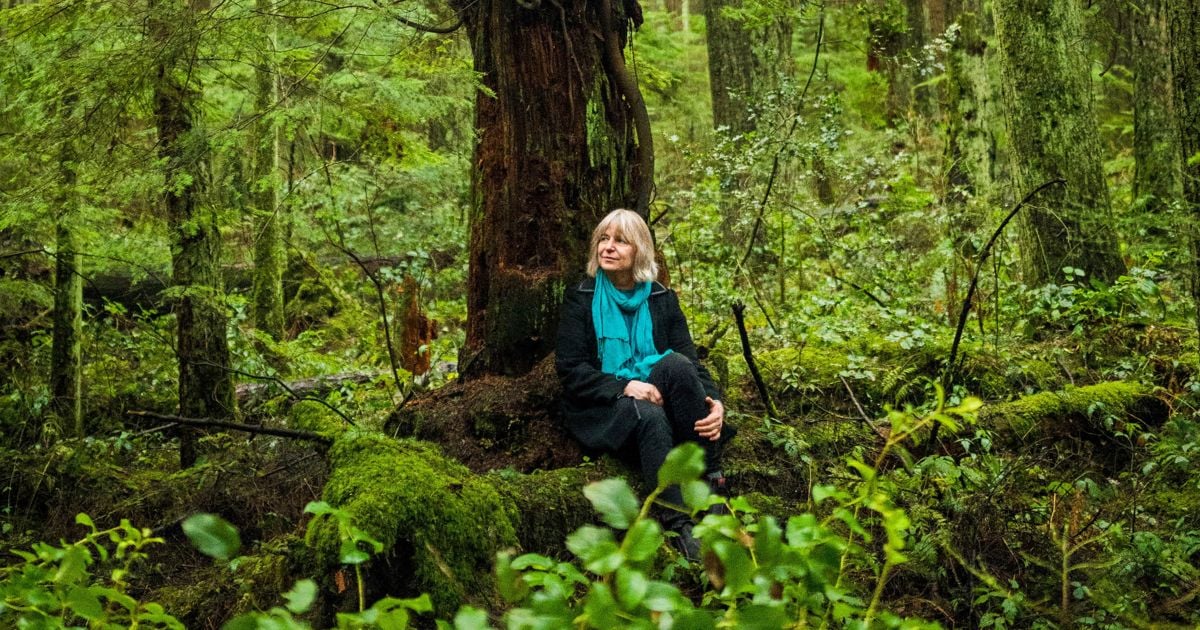 Suzanne Simard Wants To Change The Way We Look At Trees - Chatelaine