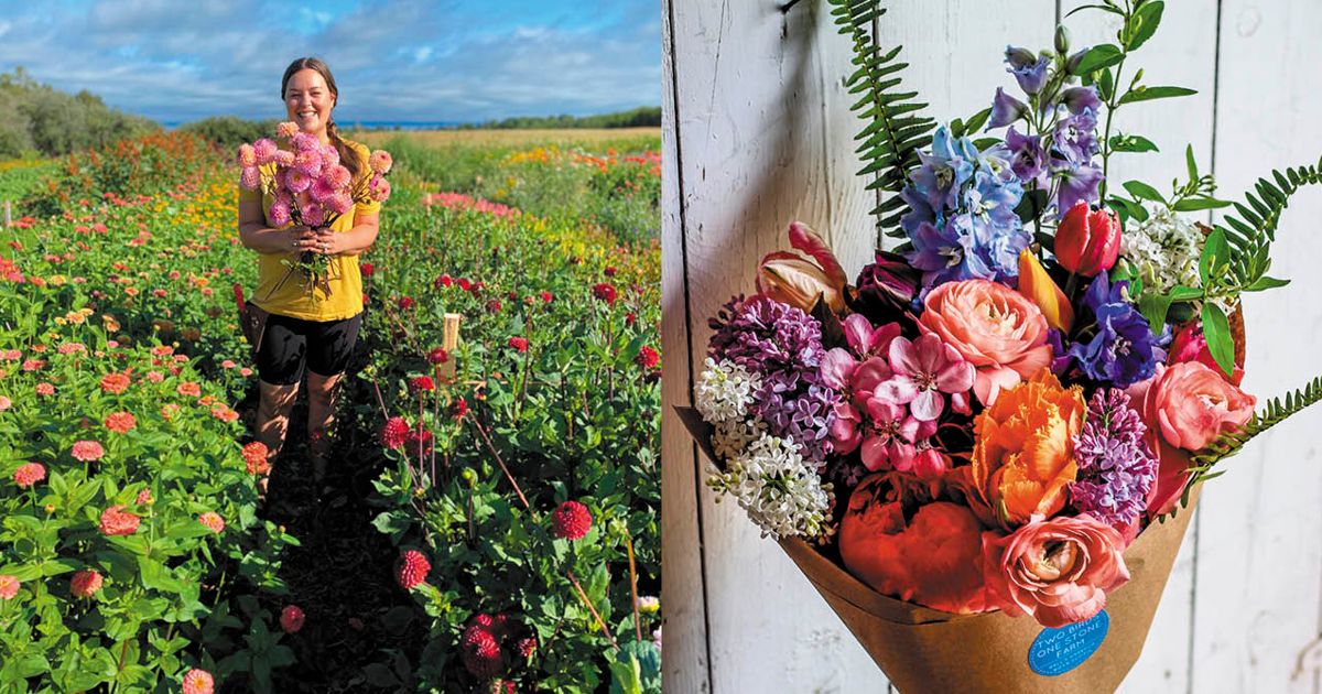 CSA Flower Subscriptions In Canada Explained - Chatelaine